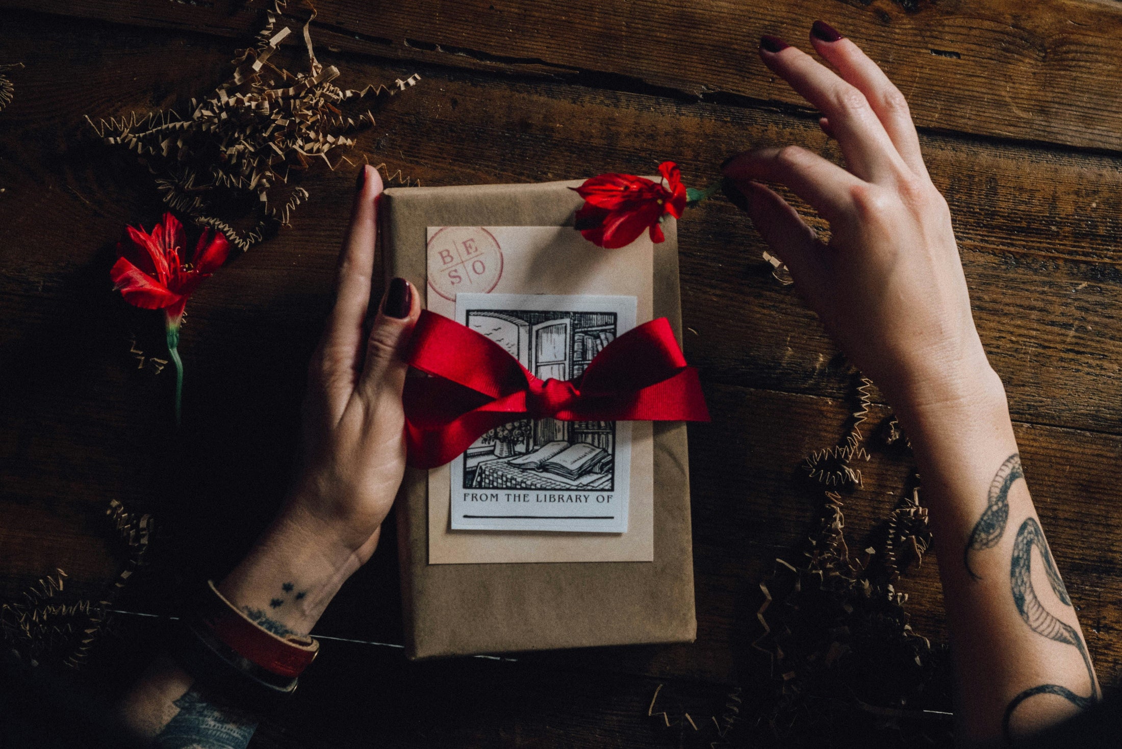 Sentient’s Holiday Gift Guide: Books for Every Soul on Your List – Sentient Publications